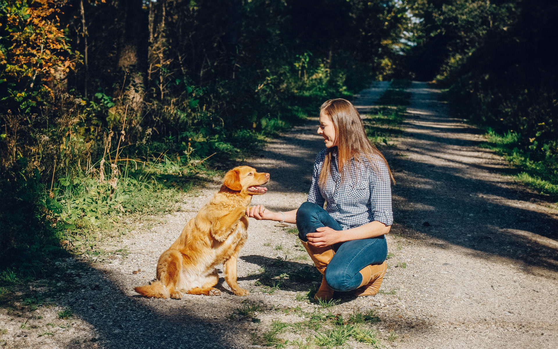 Dogwalking und Haustierservice Ammersee – Nicole Mayr - Nicole Mayr